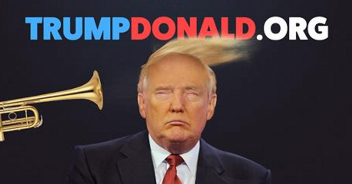 TrumpDonald.org : le site qui vous permet de décoiffer Donald Trump à ...